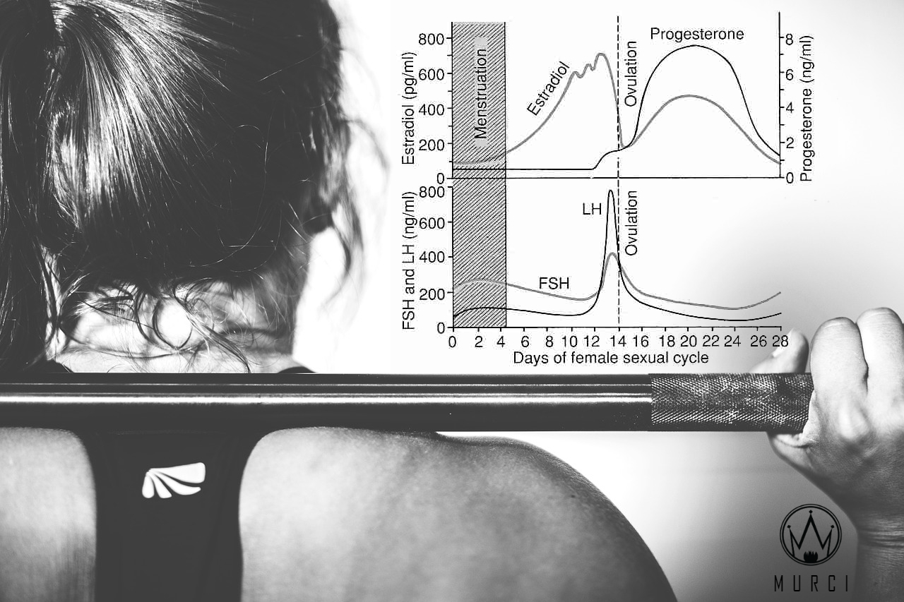 The Menstrual Cycle, Muscle Growth, and Fat Loss – JOSEPH MURCI